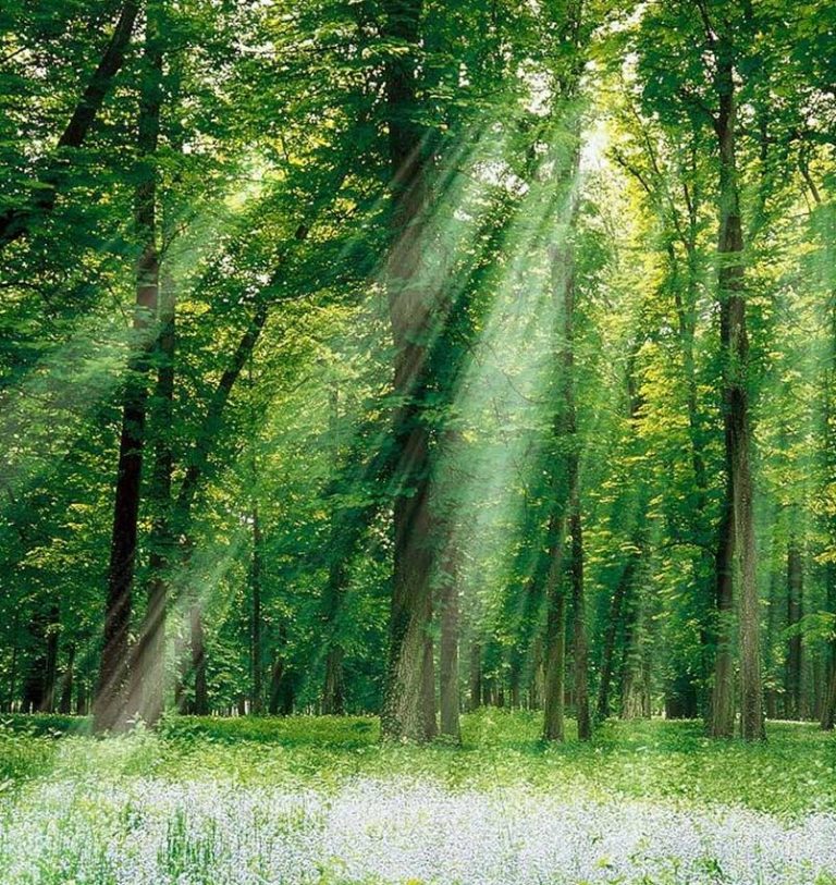 WINTEX | – TINTES Y ACABADOS TEXTILES